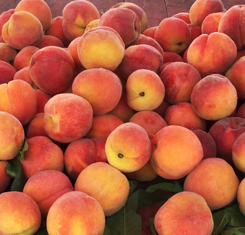 Farm Fresh Peaches – Soergel Orchards Online Store